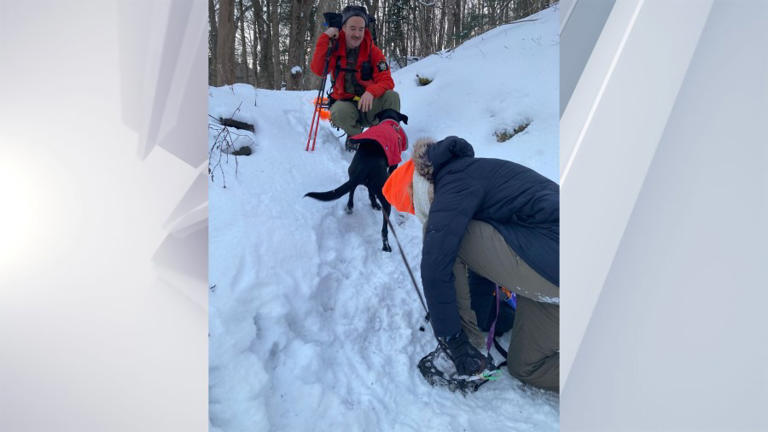 DEC forest rangers assist dog, hiker in Greene County