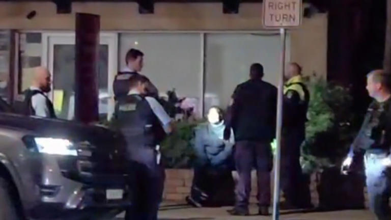 'Genuine concern and fear': Man charged over duct-taped vest in Bondi ...