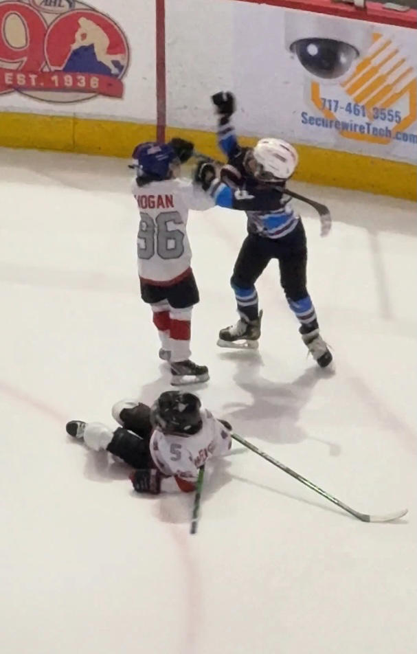 Youth hockey players get into wild brawl during game at AHL rink