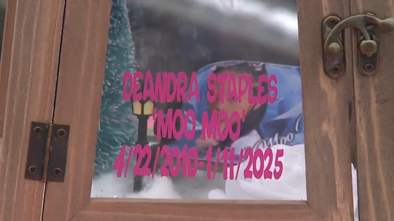 Balloons released to honor life of teen killed in Indianapolis