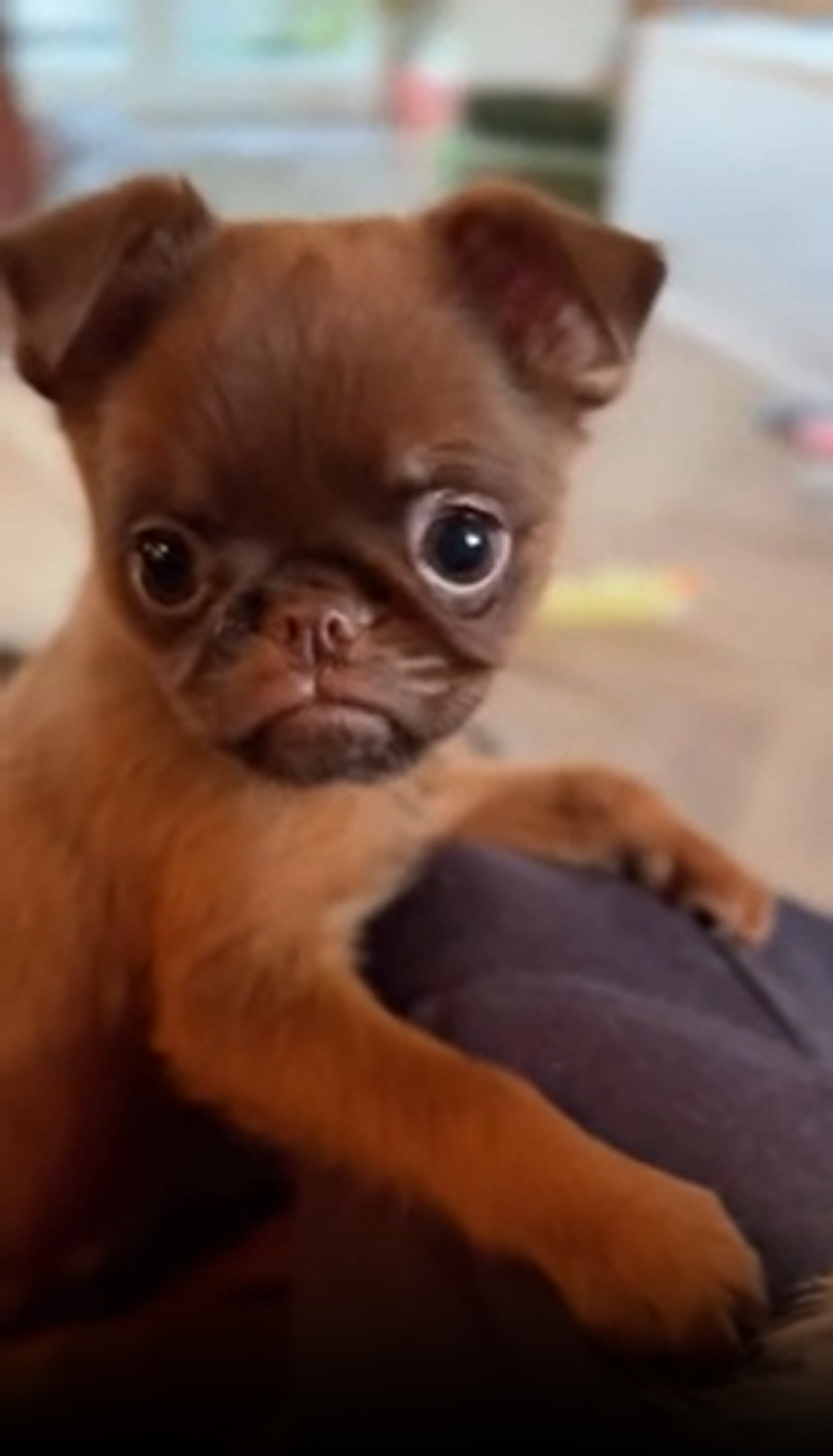 The little things that steal your heart