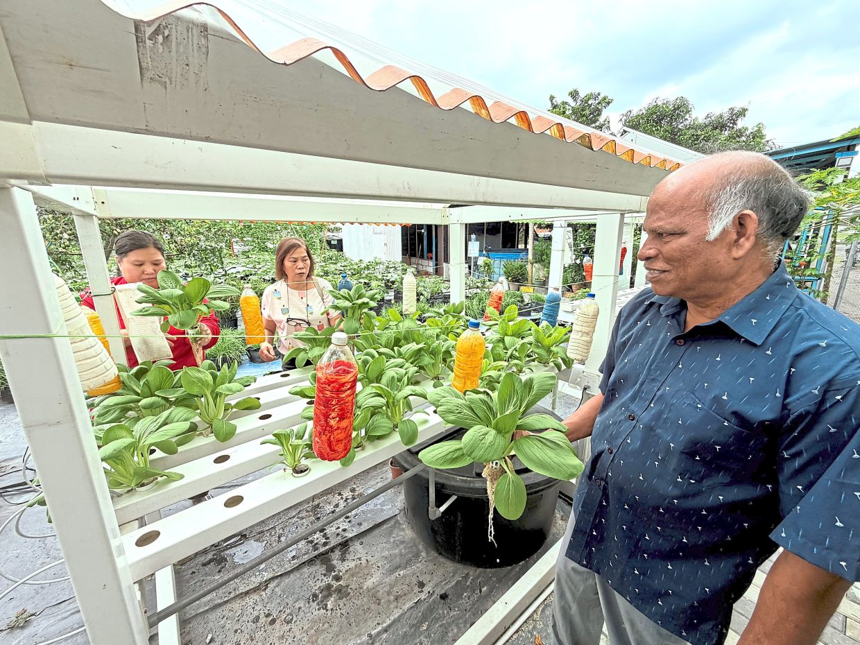 Green space with big impact