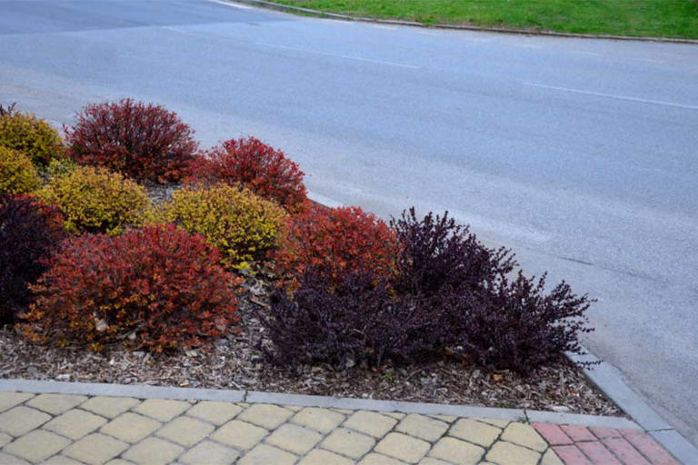 Beyond the bloom: Using color and texture for dynamic color design