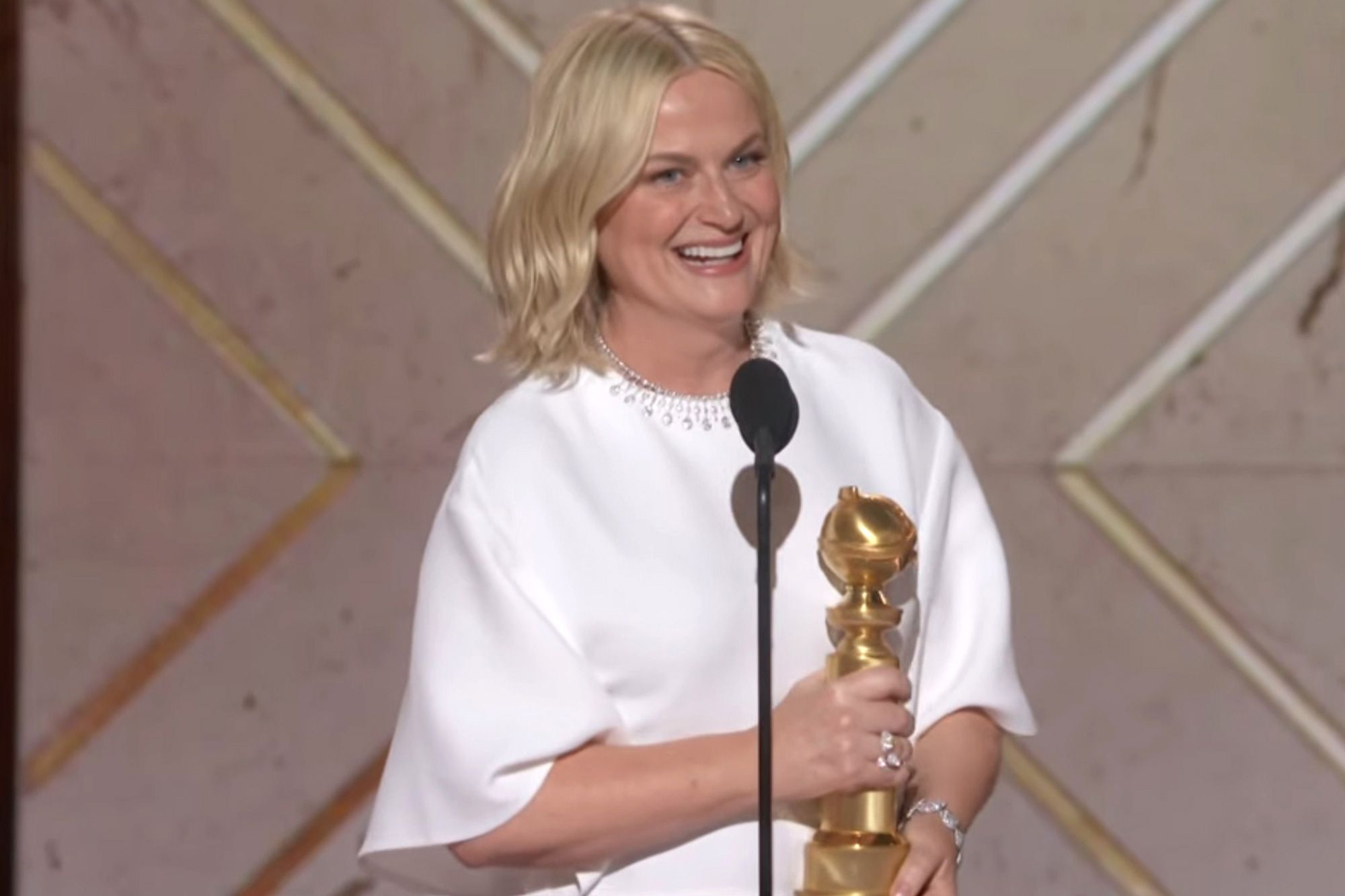 Amy Poehler's “Good Hang” beats ex Will Arnett's “Smartless” to win ...