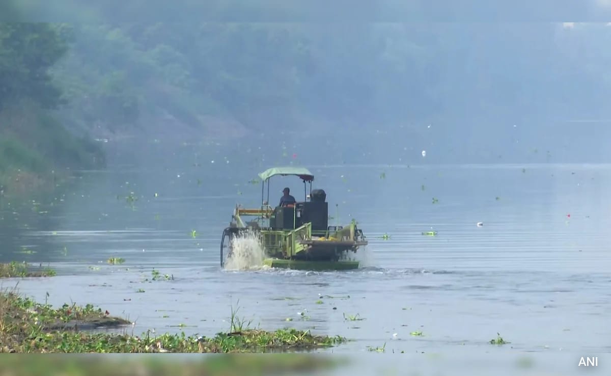 Thick layer of toxic froth resurfaces on Yamuna River in Delhi
