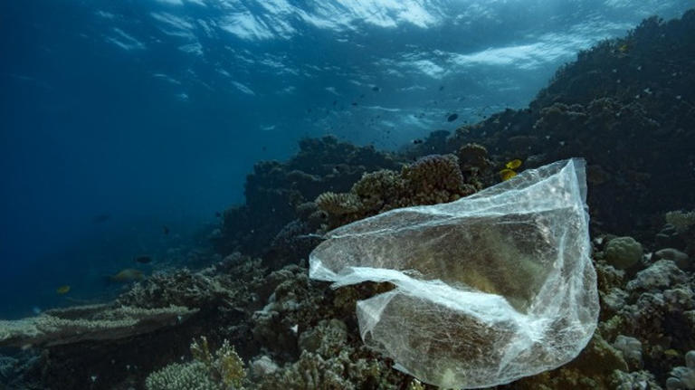 As of 2026 these US states have completely banned plastic grocery bags