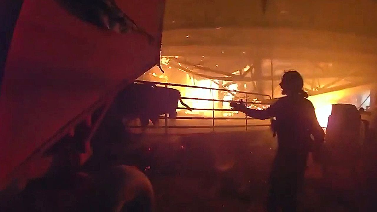 Bodycam: Officers rescue cows from burning barn in upstate New York