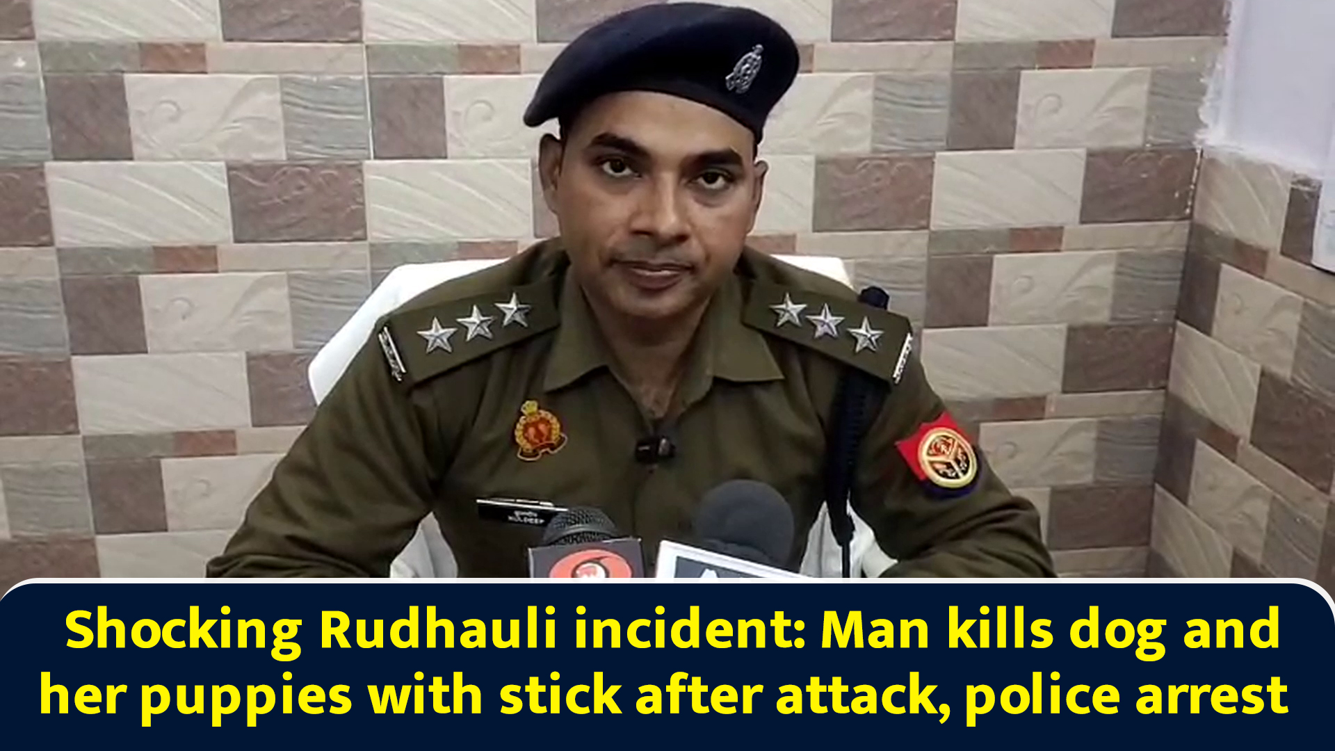 Shocking Rudhauli incident: Man kills dog and her puppies with stick ...