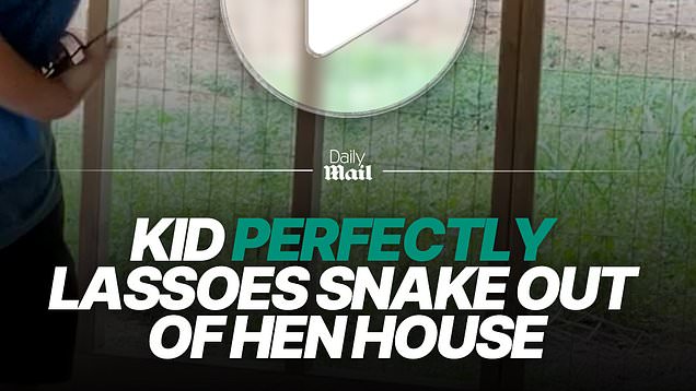 Child calmly lassoes snake to remove it from henhouse