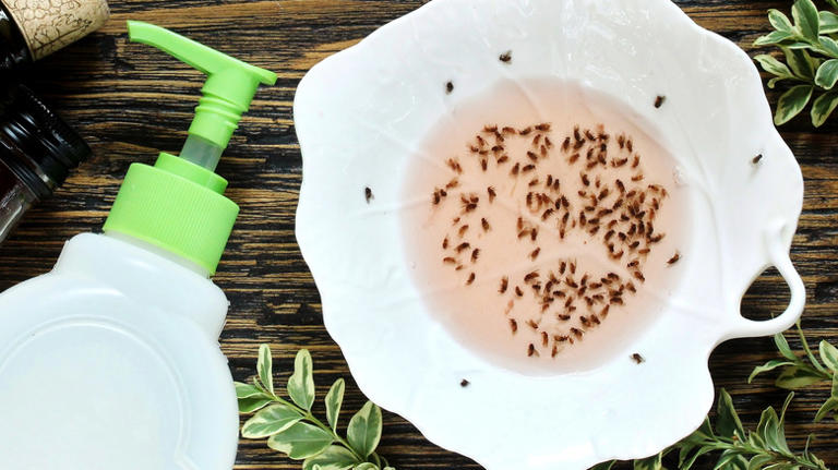 This easy 3-ingredient mixture eliminates pesky gnats in your kitchen