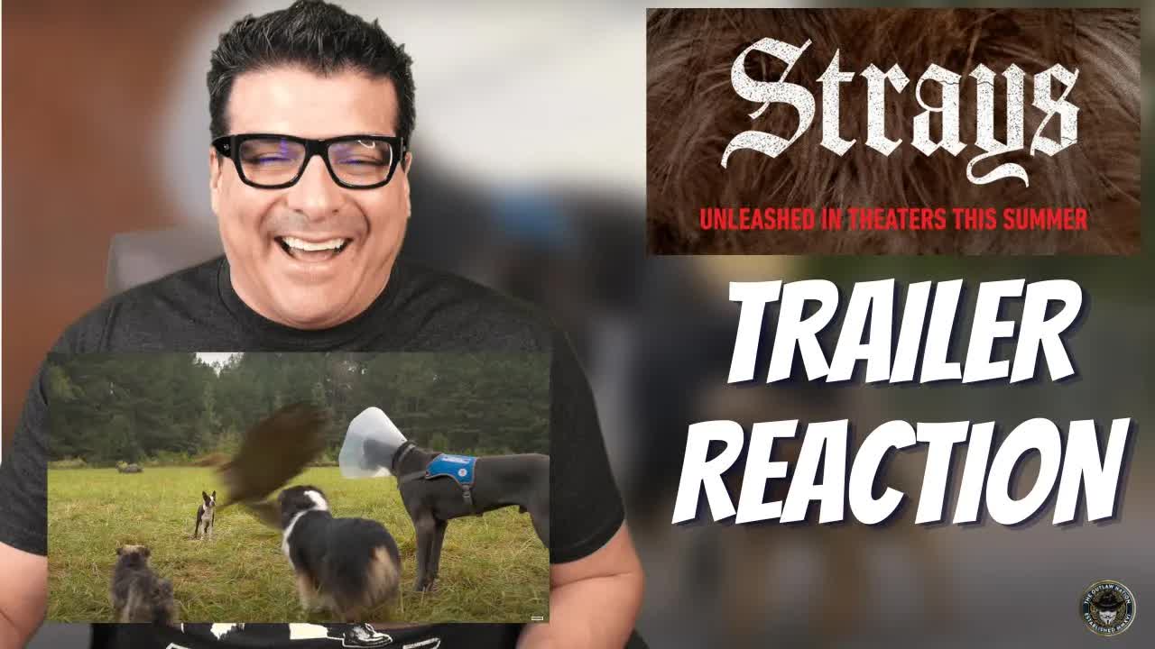Strays (2023) - red band trailer reaction | Will Ferrell | Jamie Foxx
