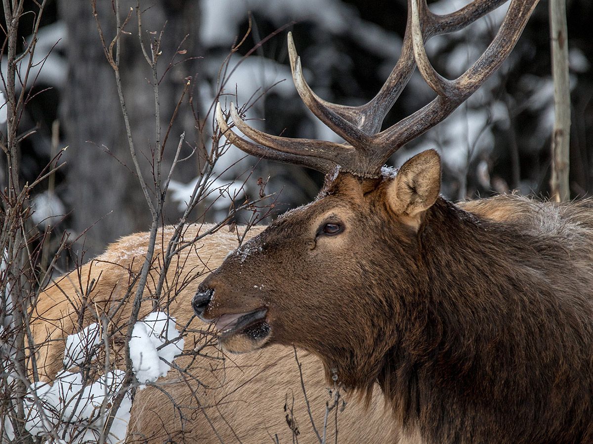 BC Highway Patrol not impressed by Alberta man's excuse for going 160 ...