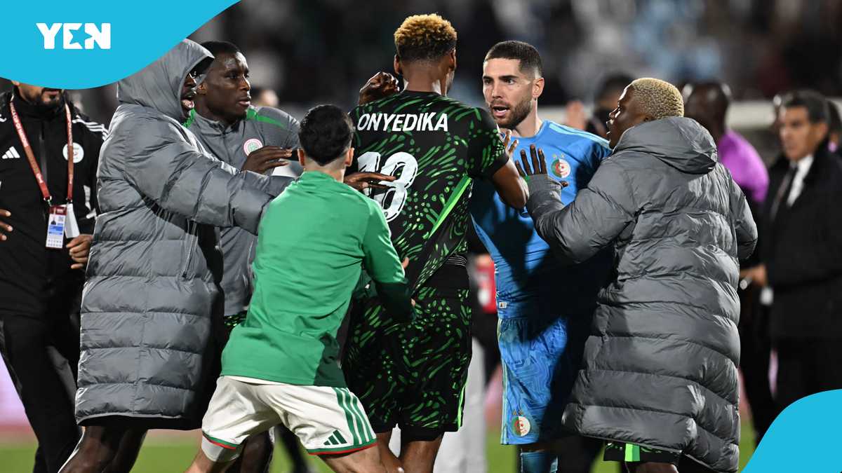 Why Zidane’s son fought with Nigeria players after Algeria AFCON ...