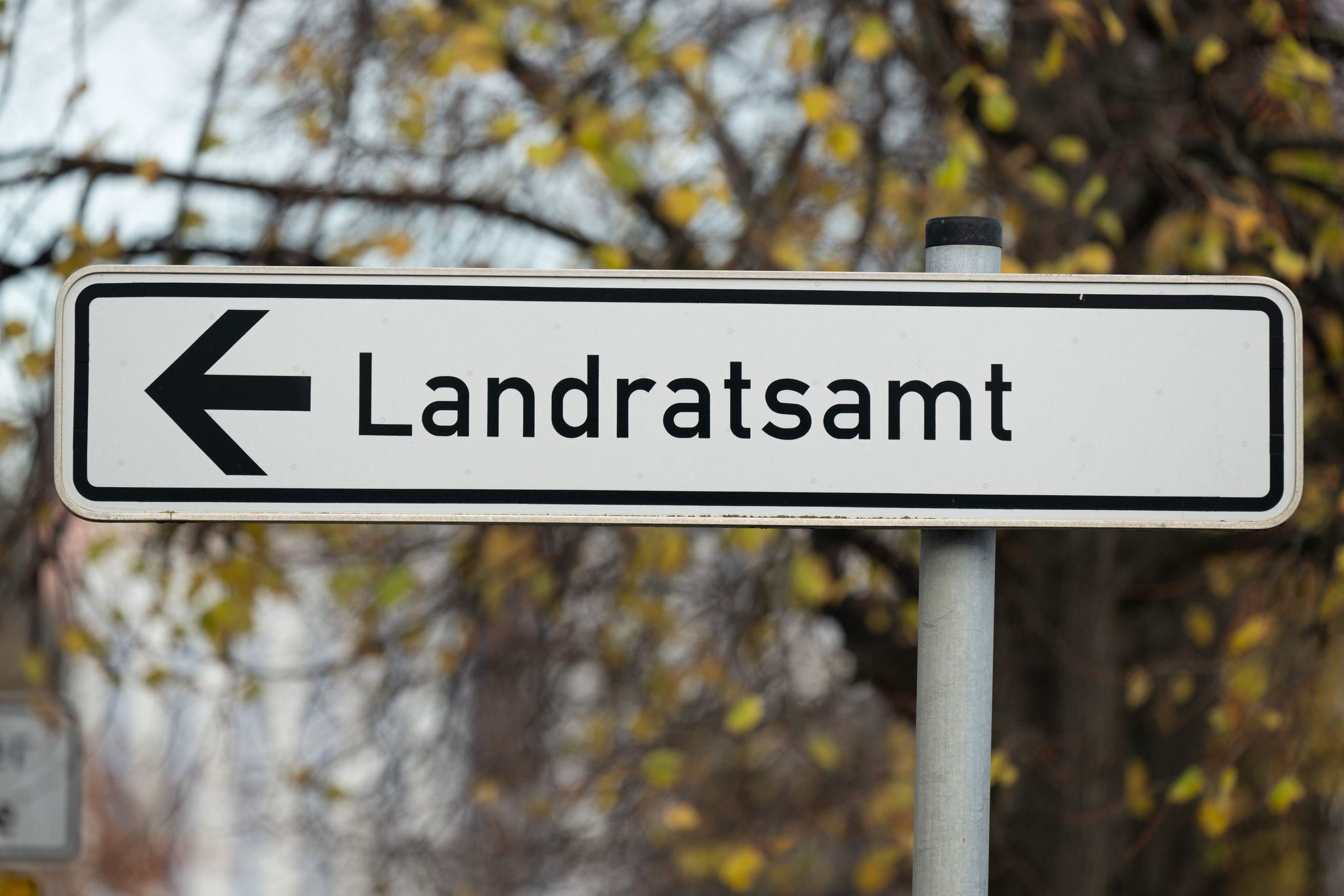 CDU bei Landratswahl in Oberspreewald-Lausitz vorne