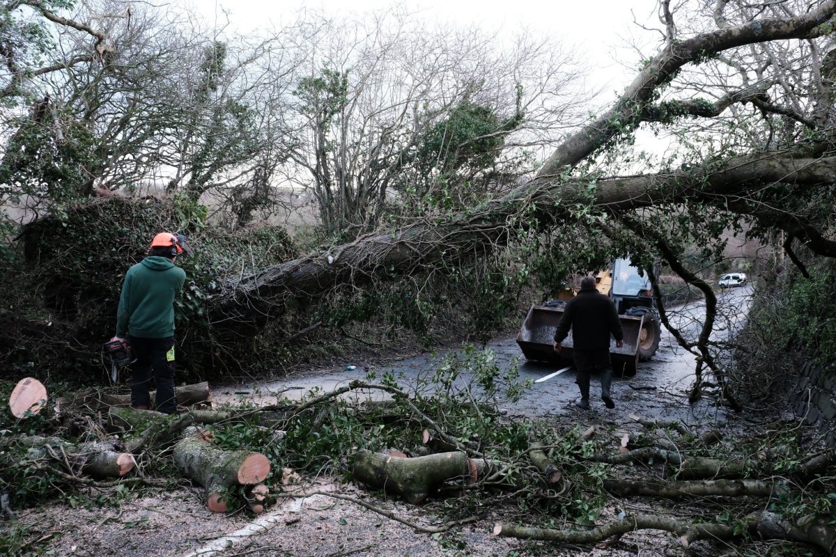 Weather warnings in force as up to 85mph winds to batter UK