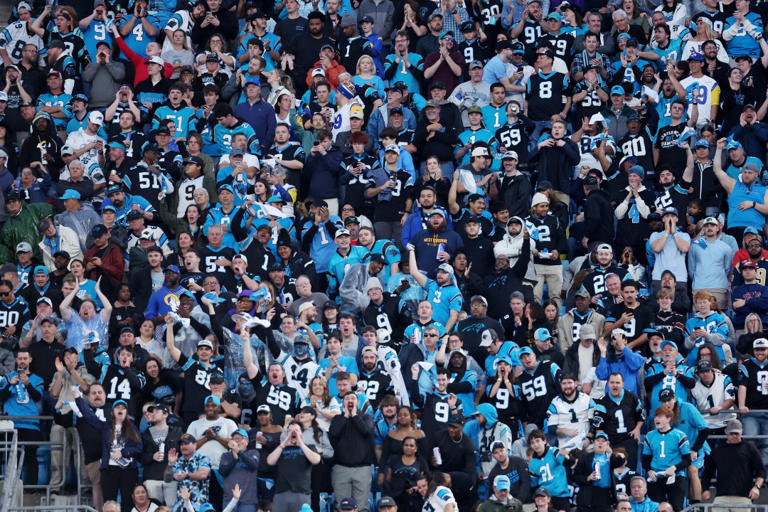 Panthers fall short in playoff wild card round, but fans see promise in ...