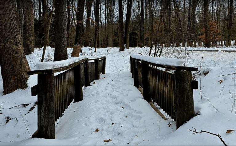 Discover why this Virginia state park shines in winter