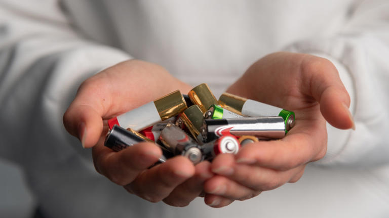 Costco Kirkland Signature vs. Amazon Basics batteries - which are better?