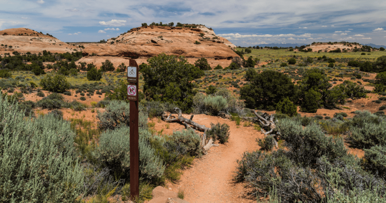 This little-known trail might be the best national park hike in Utah