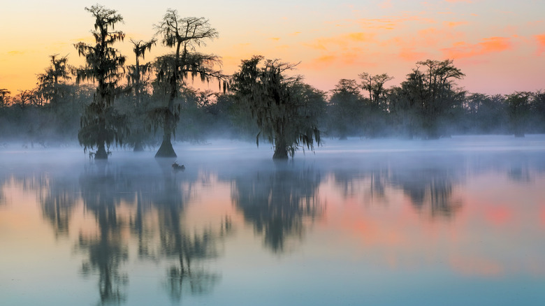 Spot endless amounts of birds and wildlife at this must-visit Louisiana ...