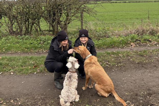 Warrington dog care company brings style and heart with new brand