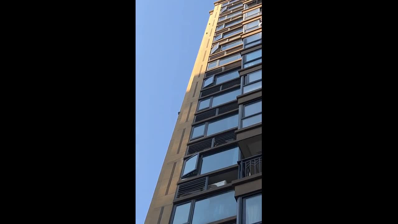 Squirrels navigate building walls in Zhejiang, China