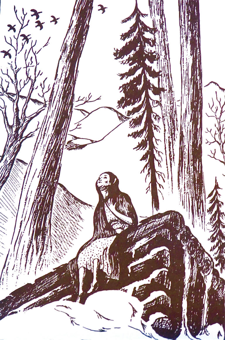 The Donner Party’s ‘point of no return’ | Ross Eric Gibson, local history