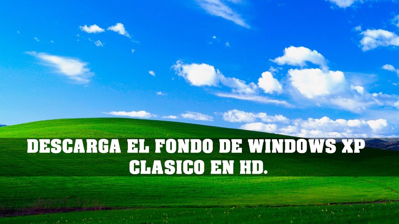 La historia del mítico fondo de pantalla de Windows XP que marcó una ...