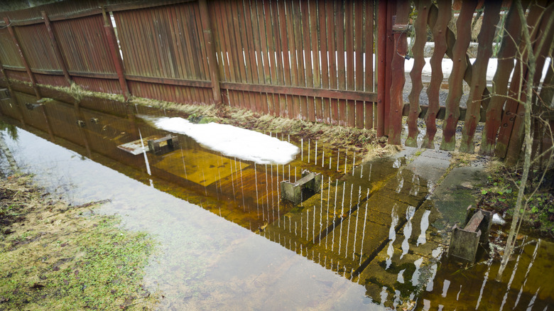The clever snow blower trick that'll help remove standing water