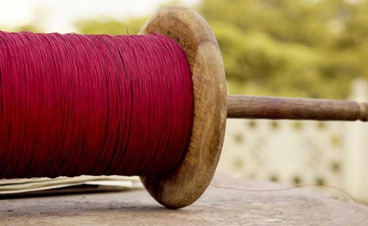 Chinese kite strings turn deadly across Madhya Pradesh