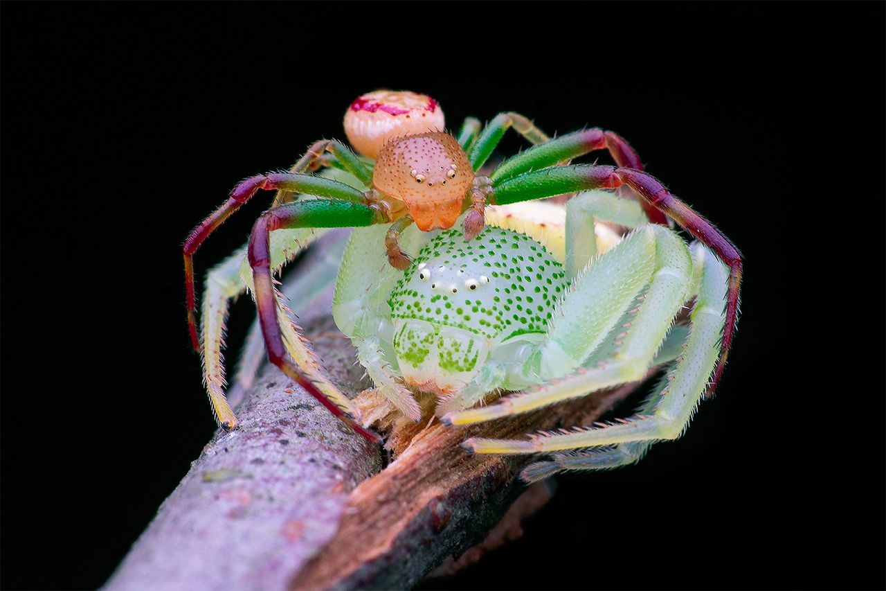 You have less than 2 weeks to enter the £10,000 LCE Photographer of the ...