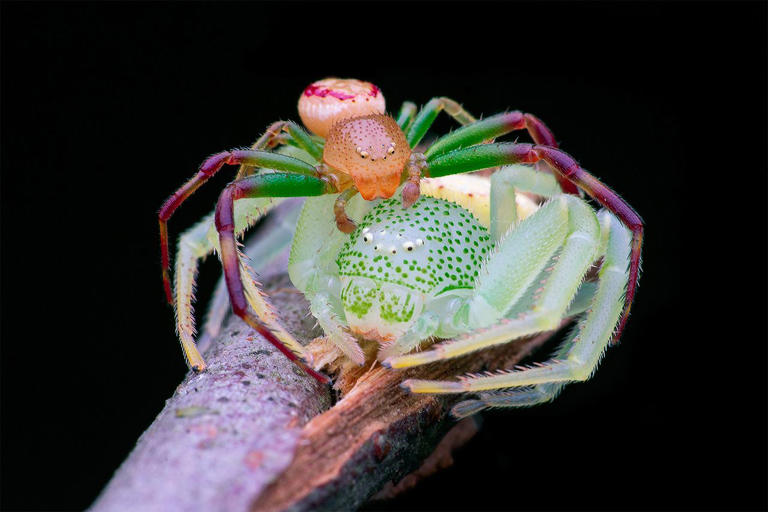 You have less than 2 weeks to enter the £10,000 LCE Photographer of the ...