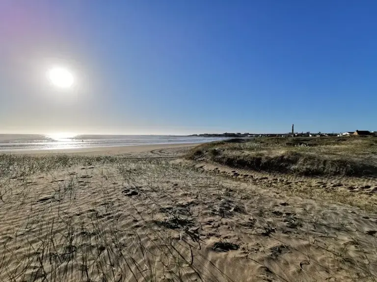 Why Uruguay is ranked the safest country in South America for 2026