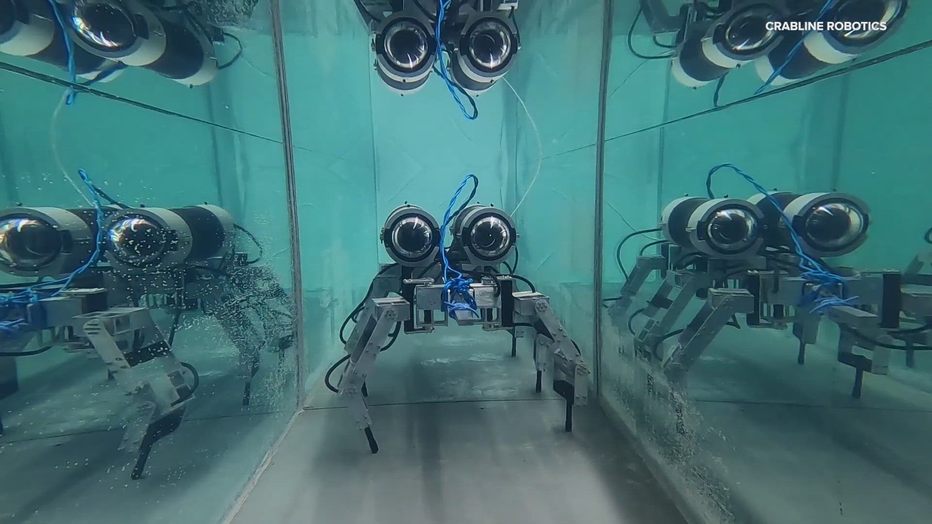 CrabLine Robotics' innovative crab-like robots gain attention at CES ...