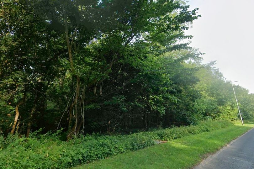 The ancient Cambridgeshire woodland where Roman homes stood