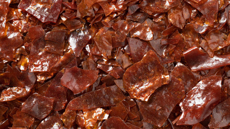 The bug excretion that coats the candy you eat