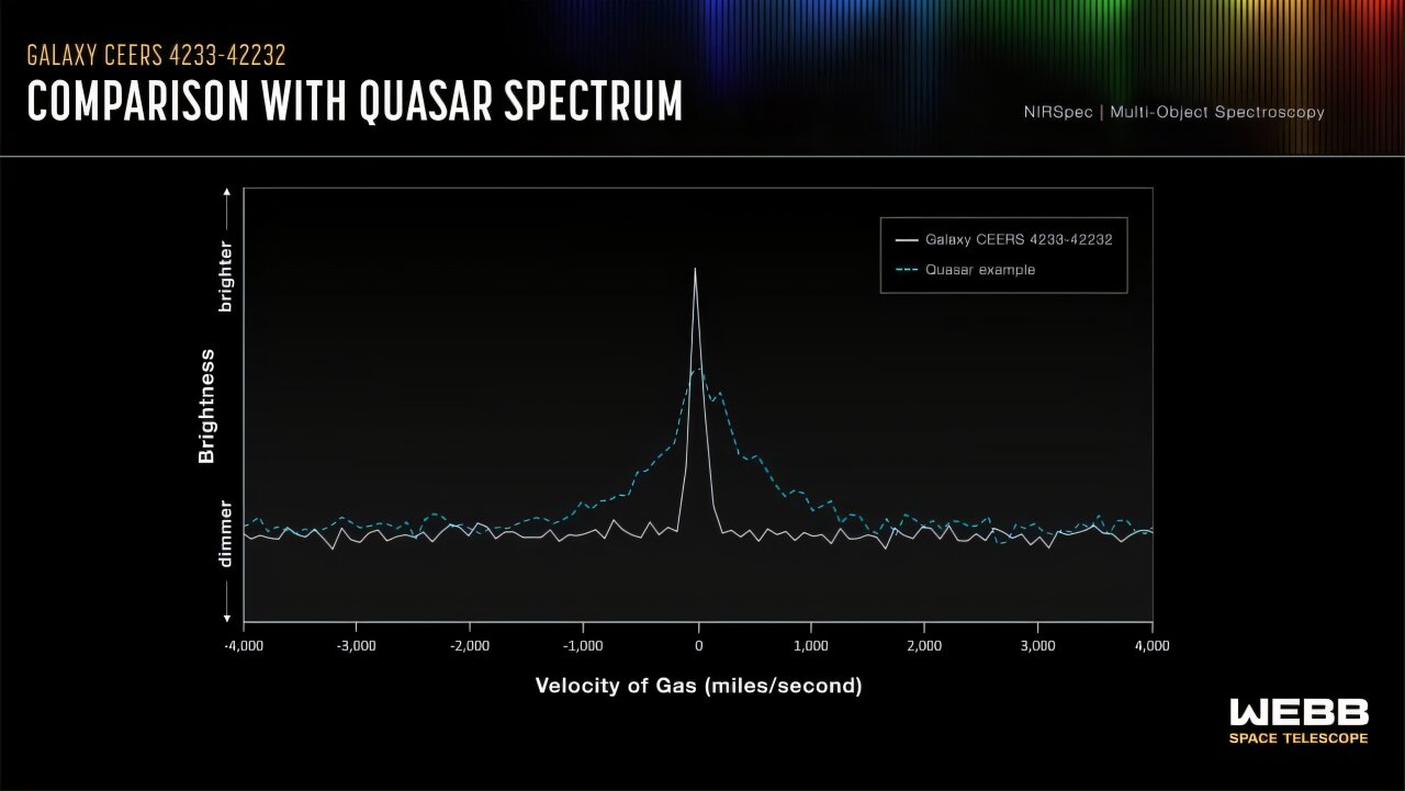 As puzzling as a platypus: The JWST finds some hard to categorize objects