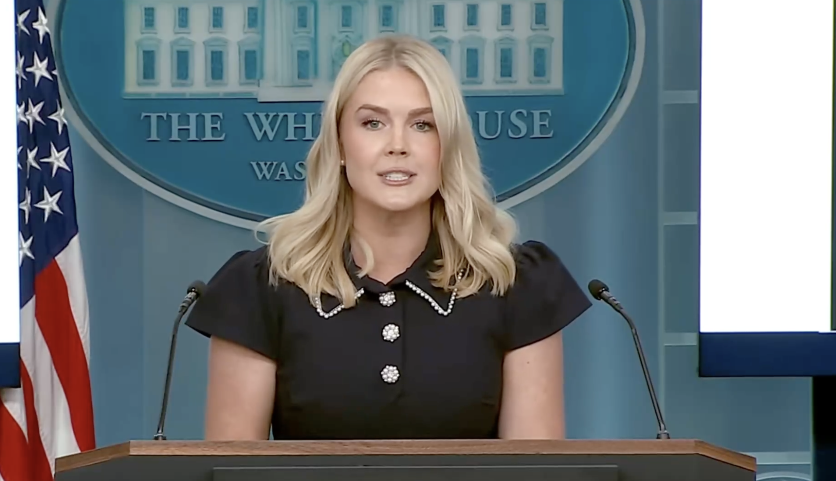 'There's been success all around': Karoline Leavitt brandishes Trump's ...