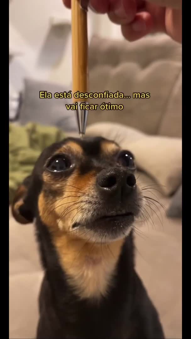 Harmonização facial da bica