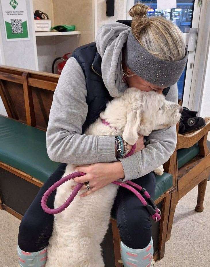 Therapy dog Mabel at Teynham Primary School found in Darenth Country ...