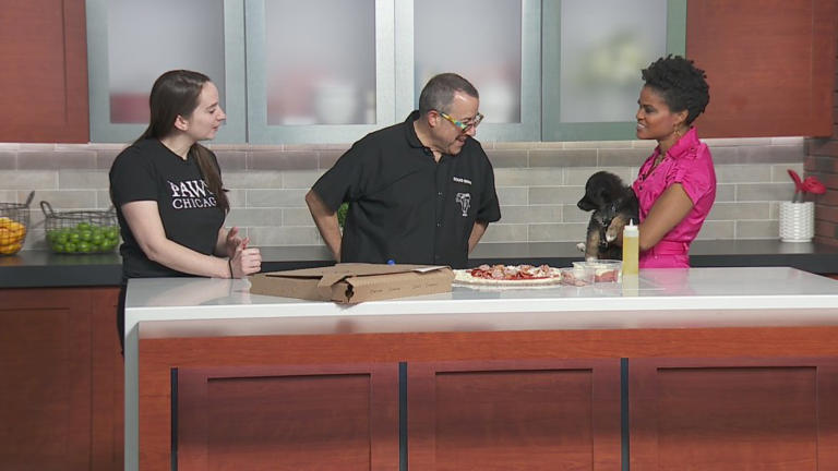Sunday brunch: PAWS Chicago using pizza to raise money for a great cause