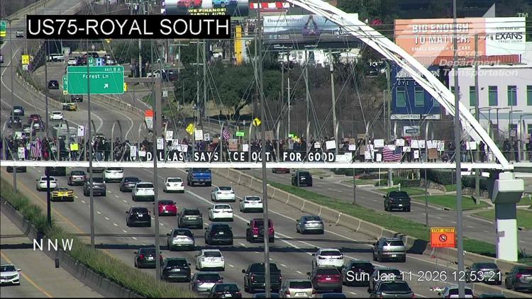 Anti-ICE protestors demonstrate on pedestrian bridge above U.S. 75