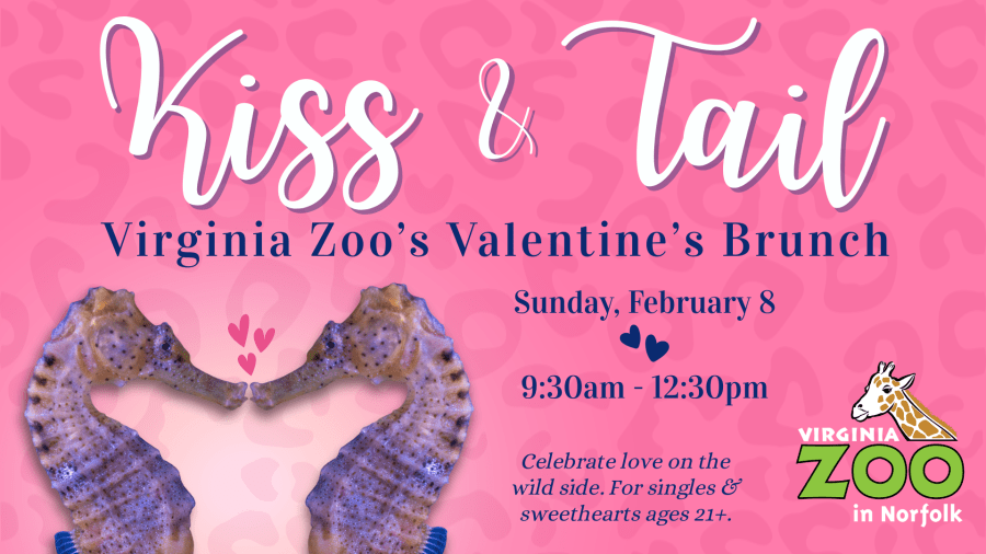 Virginia Zoo hosts adults-only Valentine’s brunch with unique activities