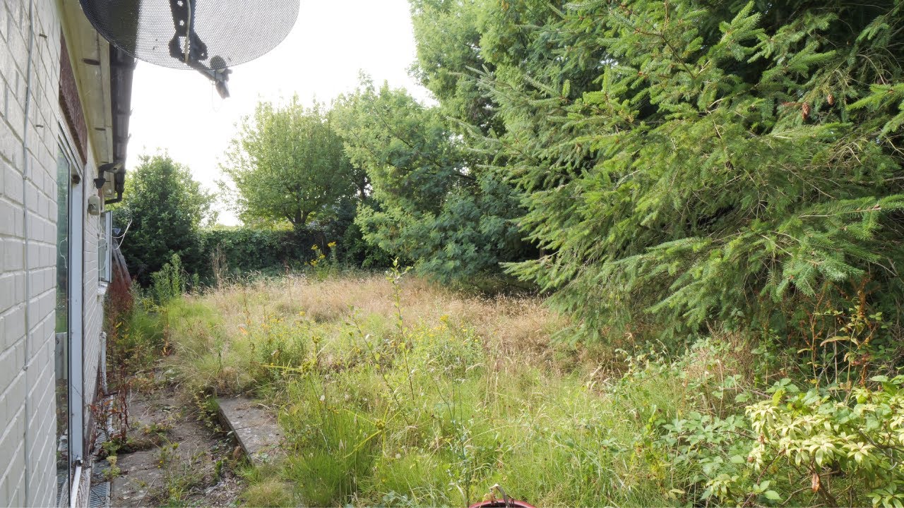 From chaos to calm: My garden rescue story