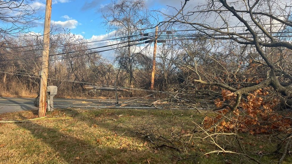 Road closes after fallen tree knocks down utility poles, cuts power in ...