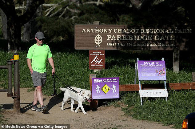 Death cap mushrooms kill three, leave others needing organ transplants ...
