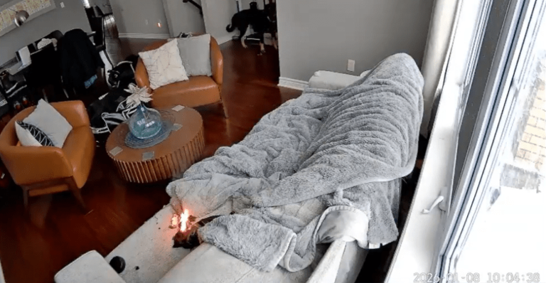 Video: Dog chewing heated glove starts fire in home's living room
