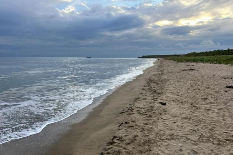 Équateur : cinq têtes découvertes sur une plage touristique