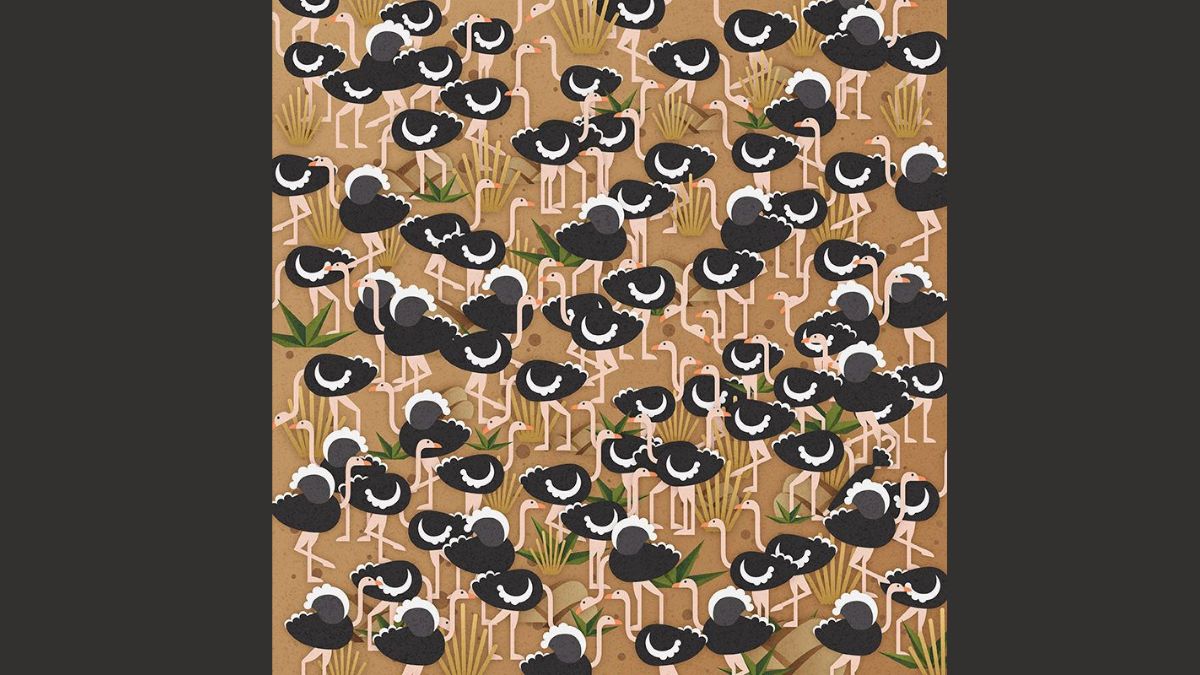 Can You Find The Hidden Umbrella Among the Ostrich to Beat this Optical ...