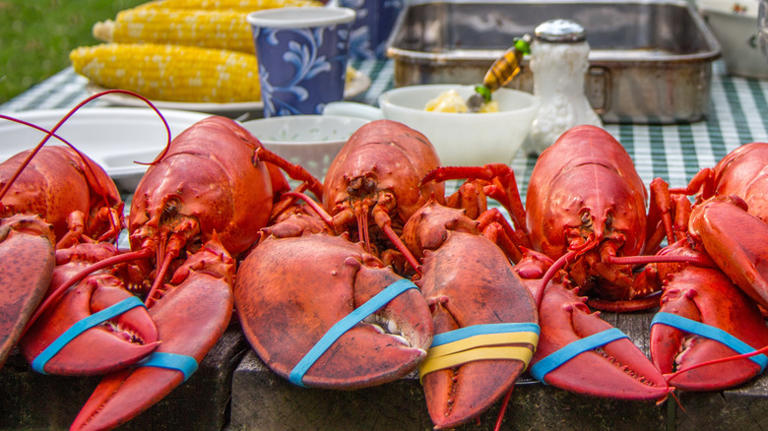 This state dominates US lobster harvests by a huge margin